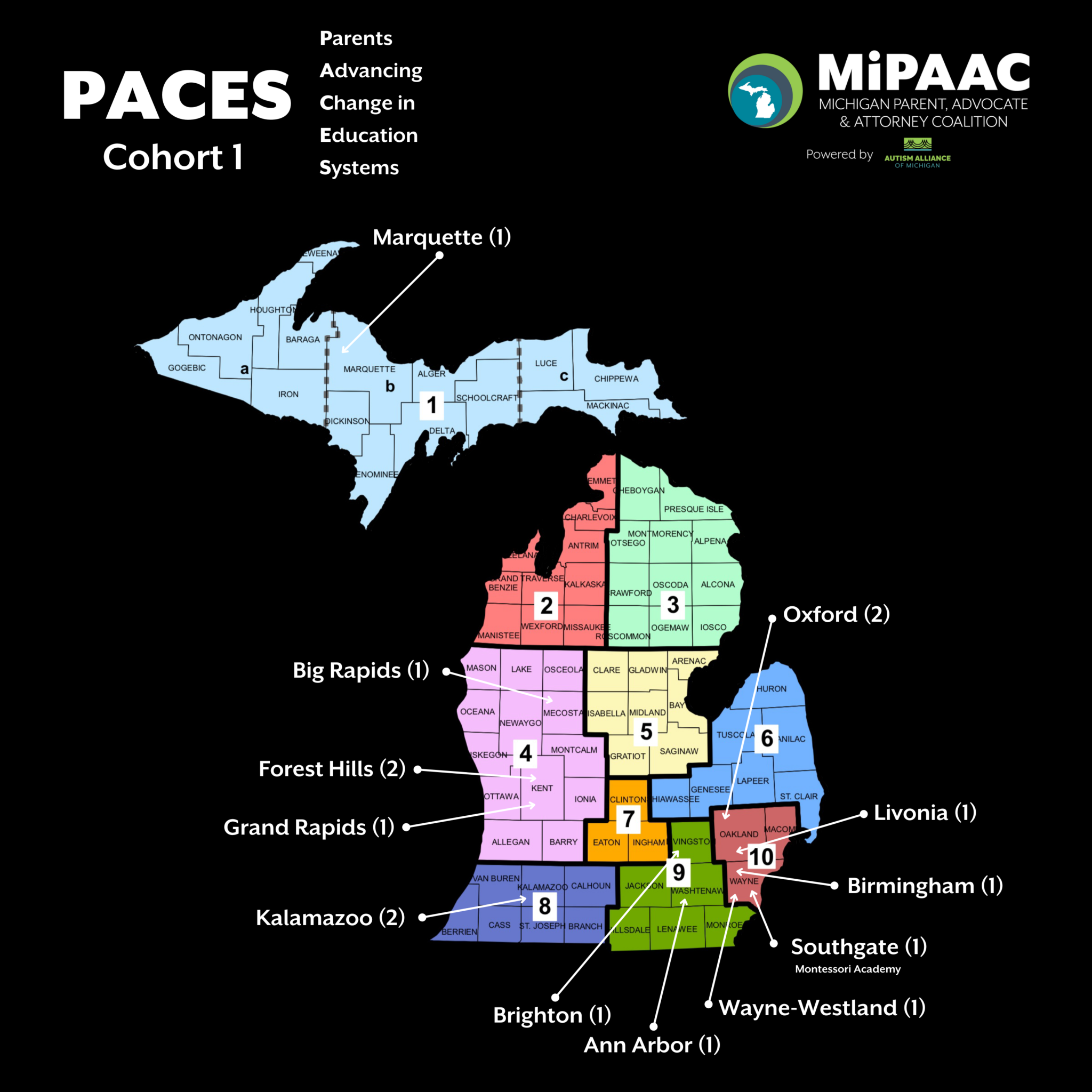 Introducing PACES: The Parents Advancing Change in Education Systems ...
